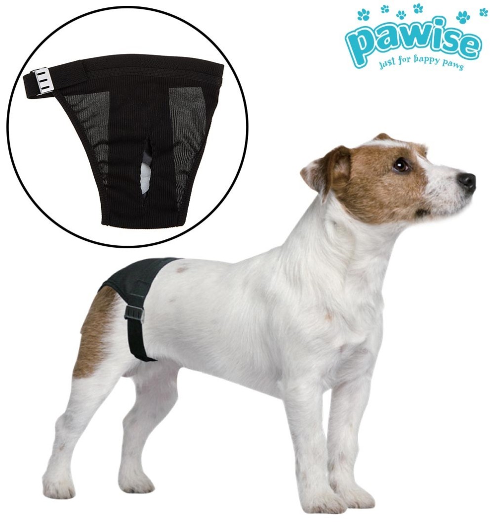 Гигиенические штаны для сук в период течки