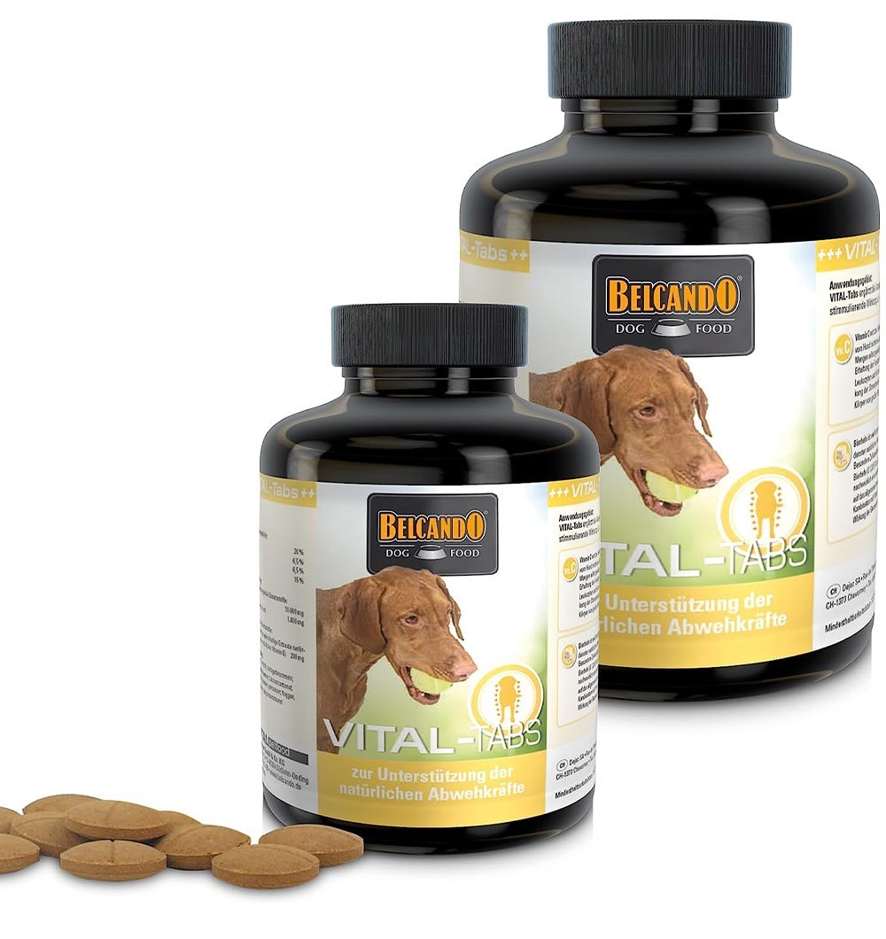 Immuunsust toetav toidulisand koerale