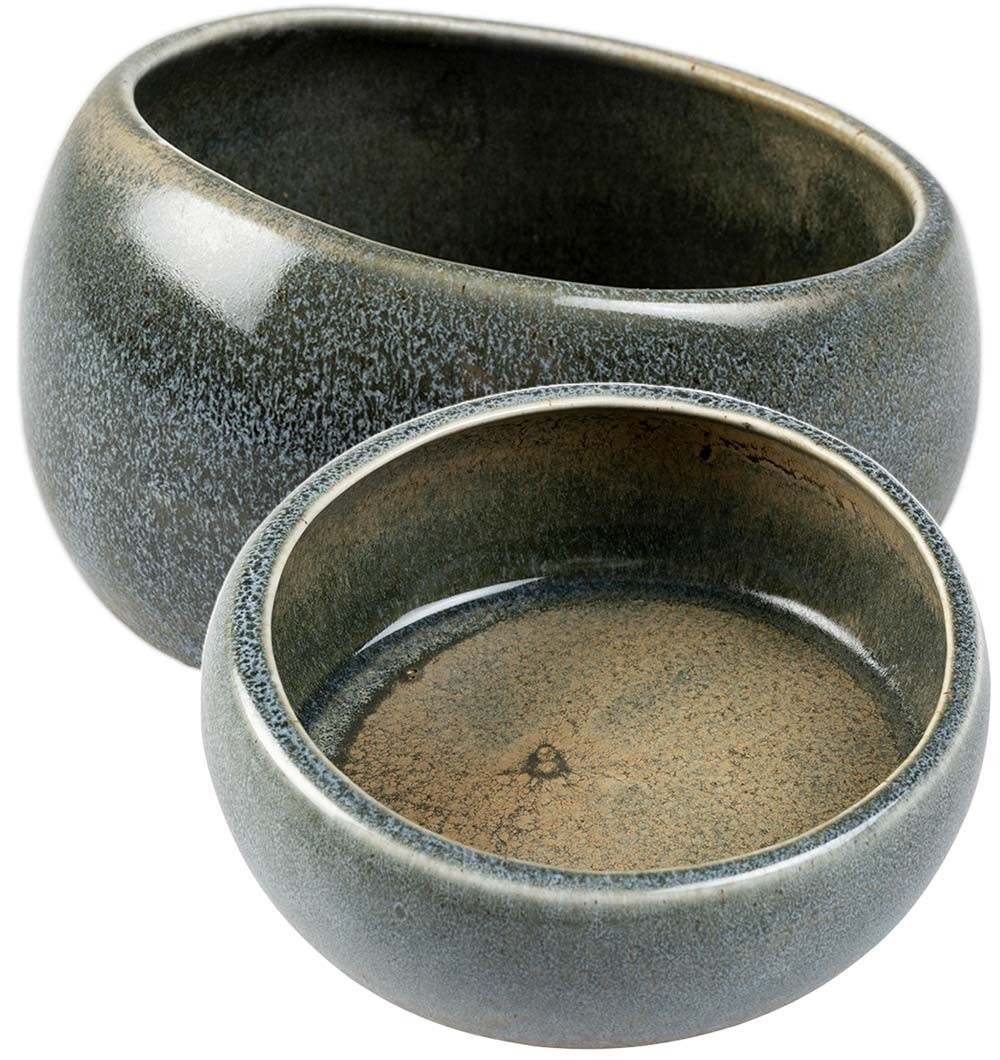 kauss-keraamiline kassile koerale