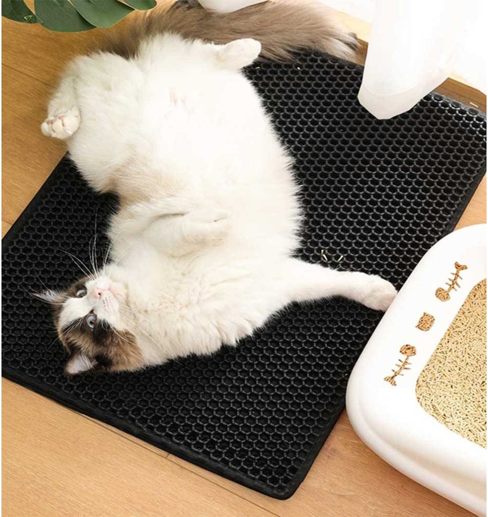 Tualeti esine kassimatt, matt kassidele