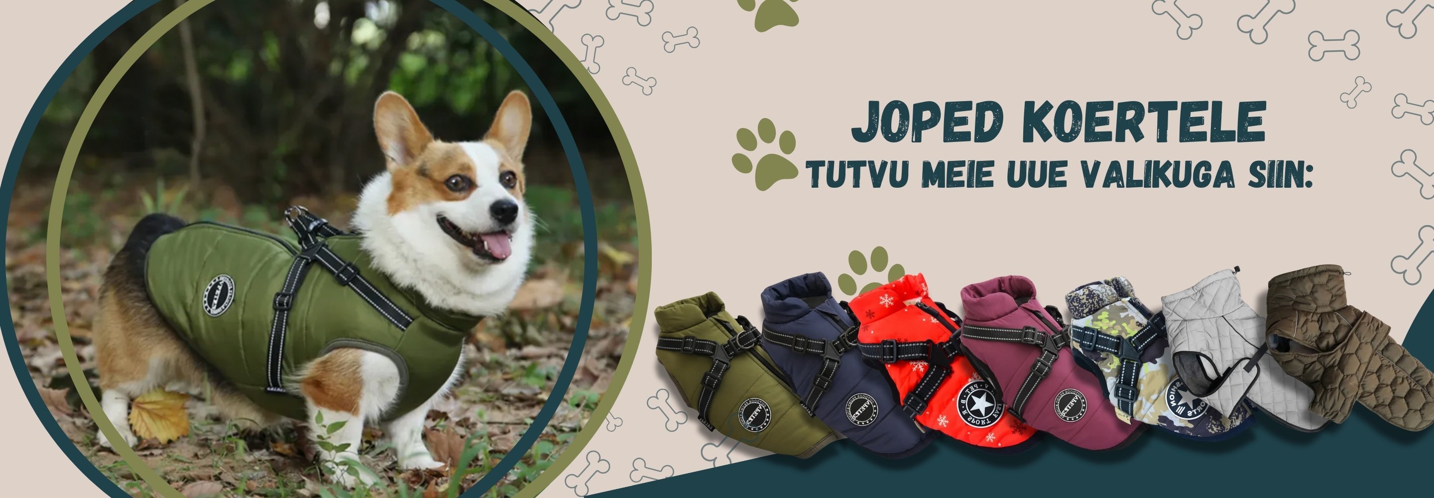 Lemmikloomapood - koeratoit, kassitoit ja kõik muu lemmikule